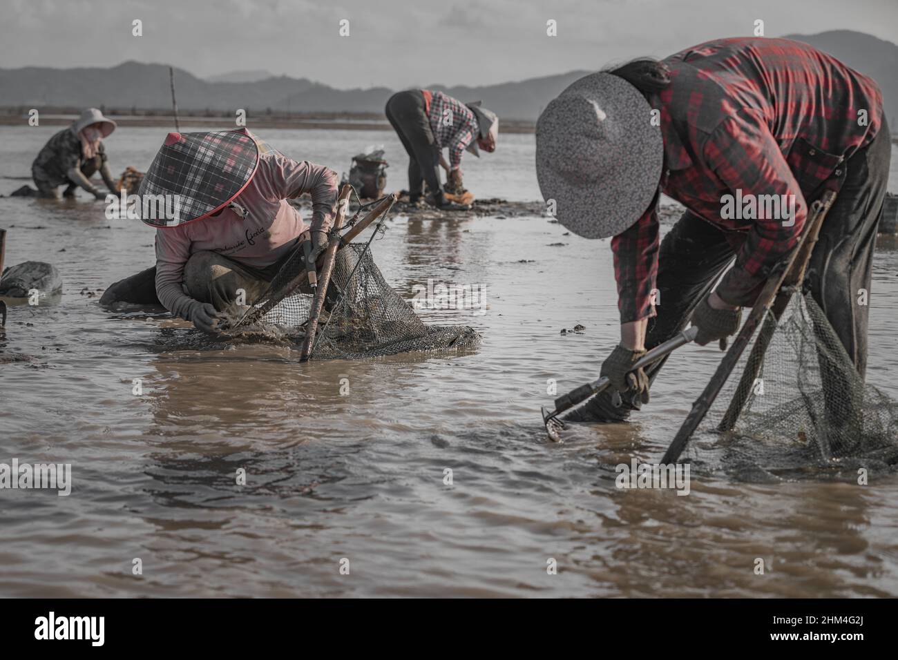 Dig clams people Stock Photo - Alamy