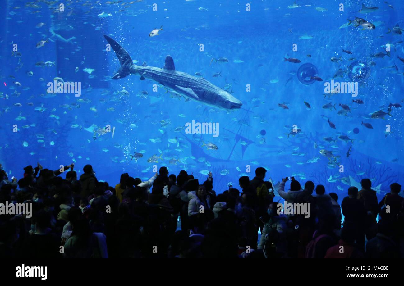 SHANGHAI, CHINA - FEBRUARY 4, 2022 - Tourists view the world's first ...