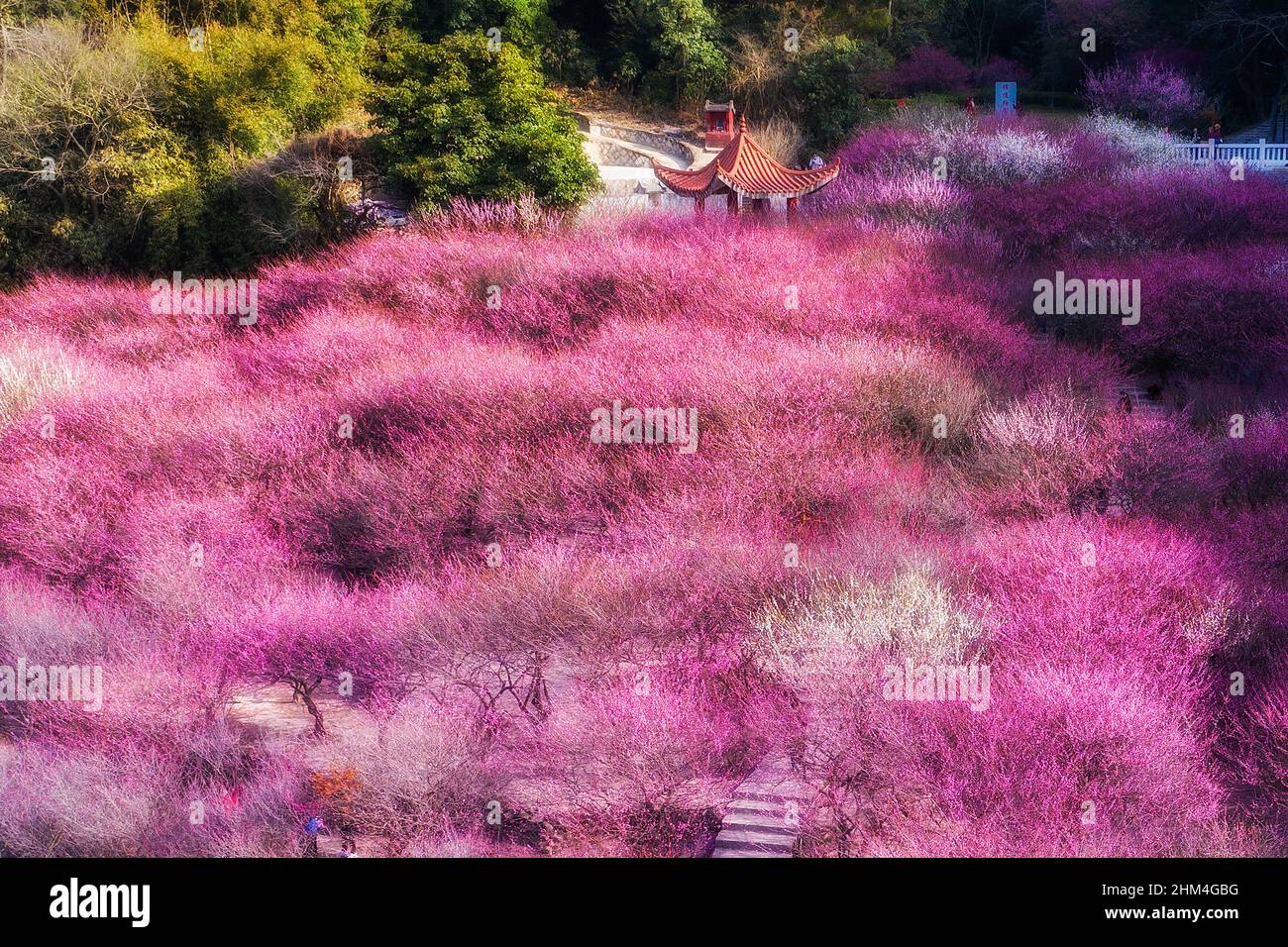 Spring earth hi-res stock photography and images - Alamy