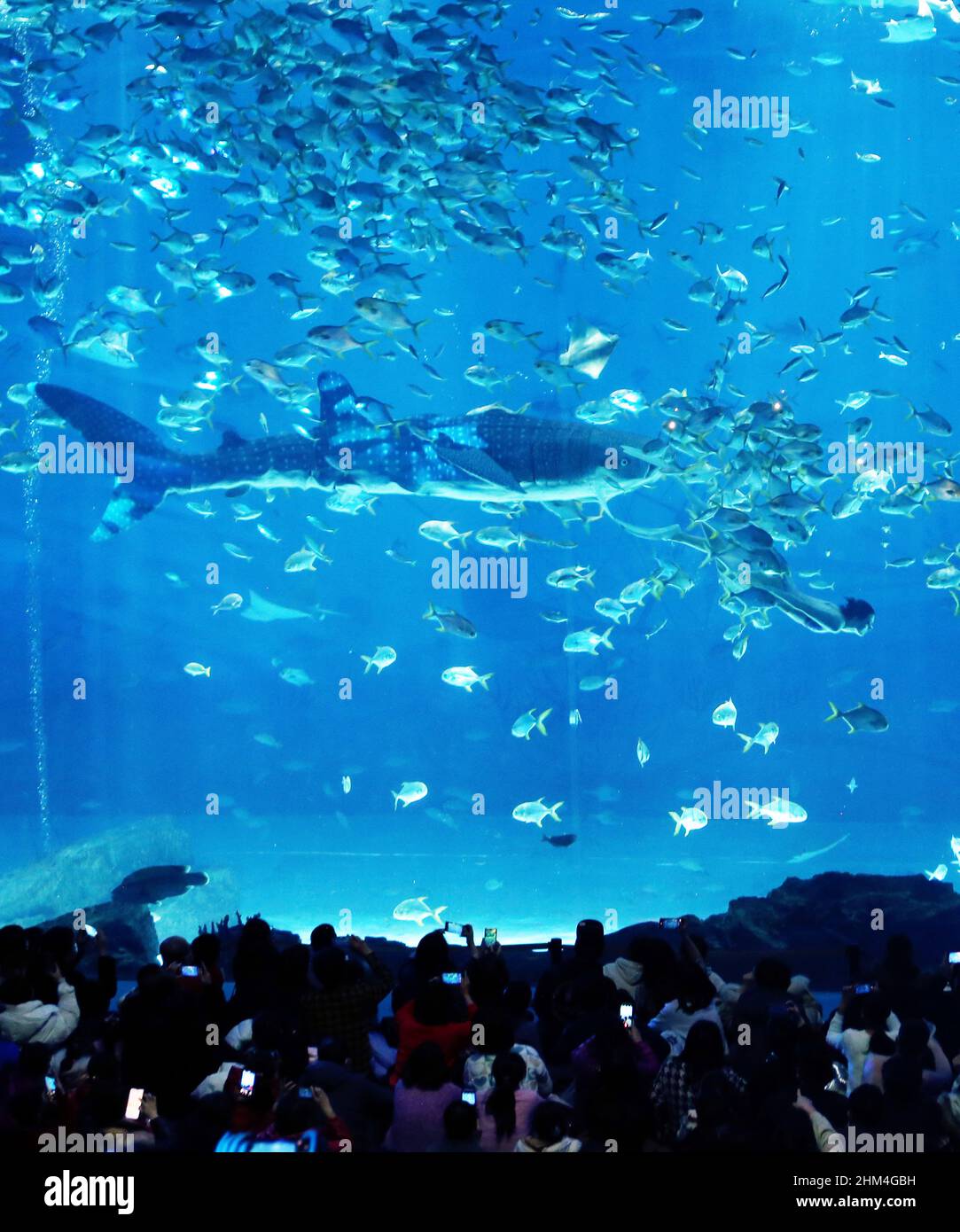 SHANGHAI, CHINA - FEBRUARY 4, 2022 - Tourists view the world's first ...