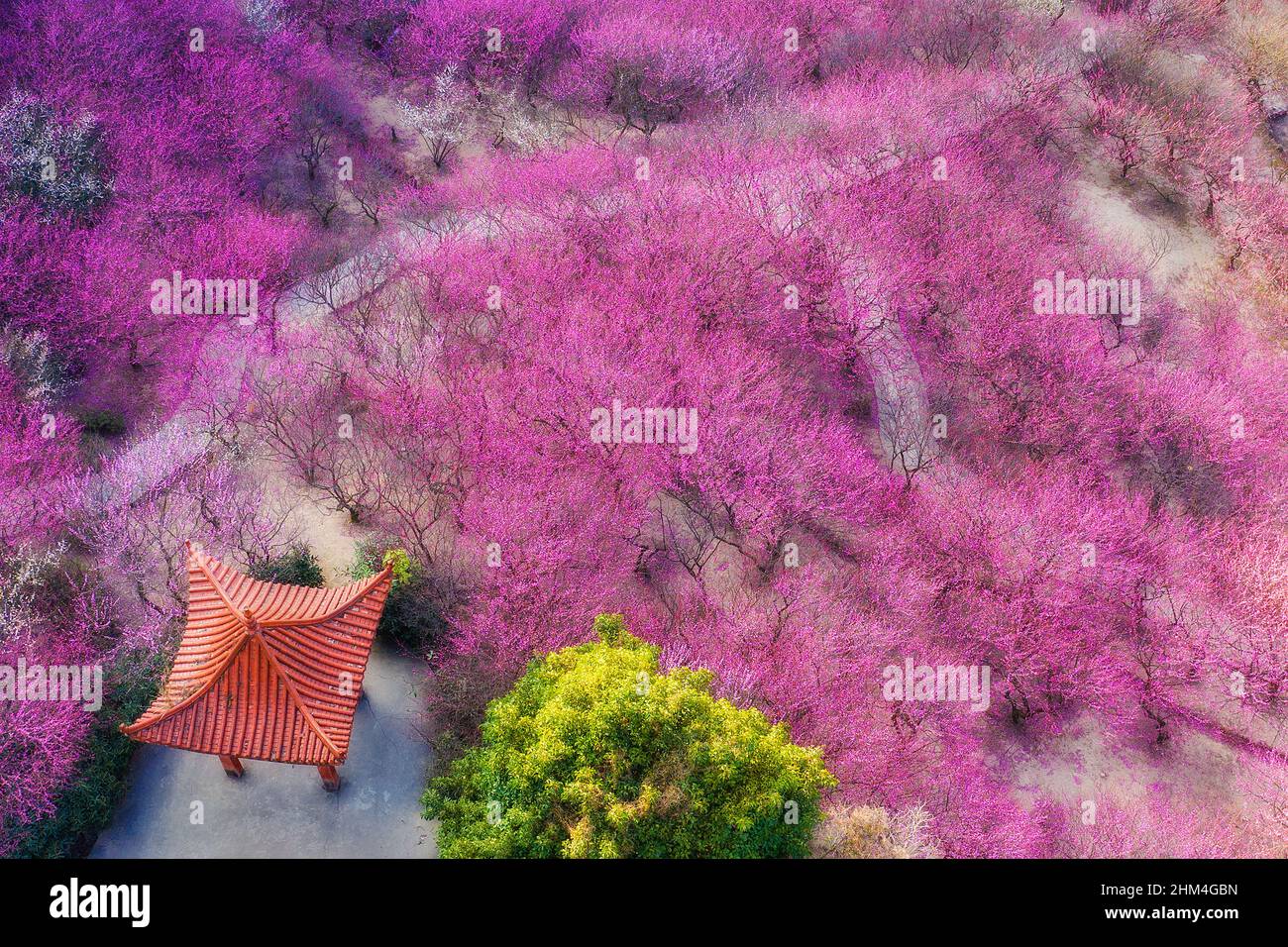 Spring to the earth Stock Photo - Alamy