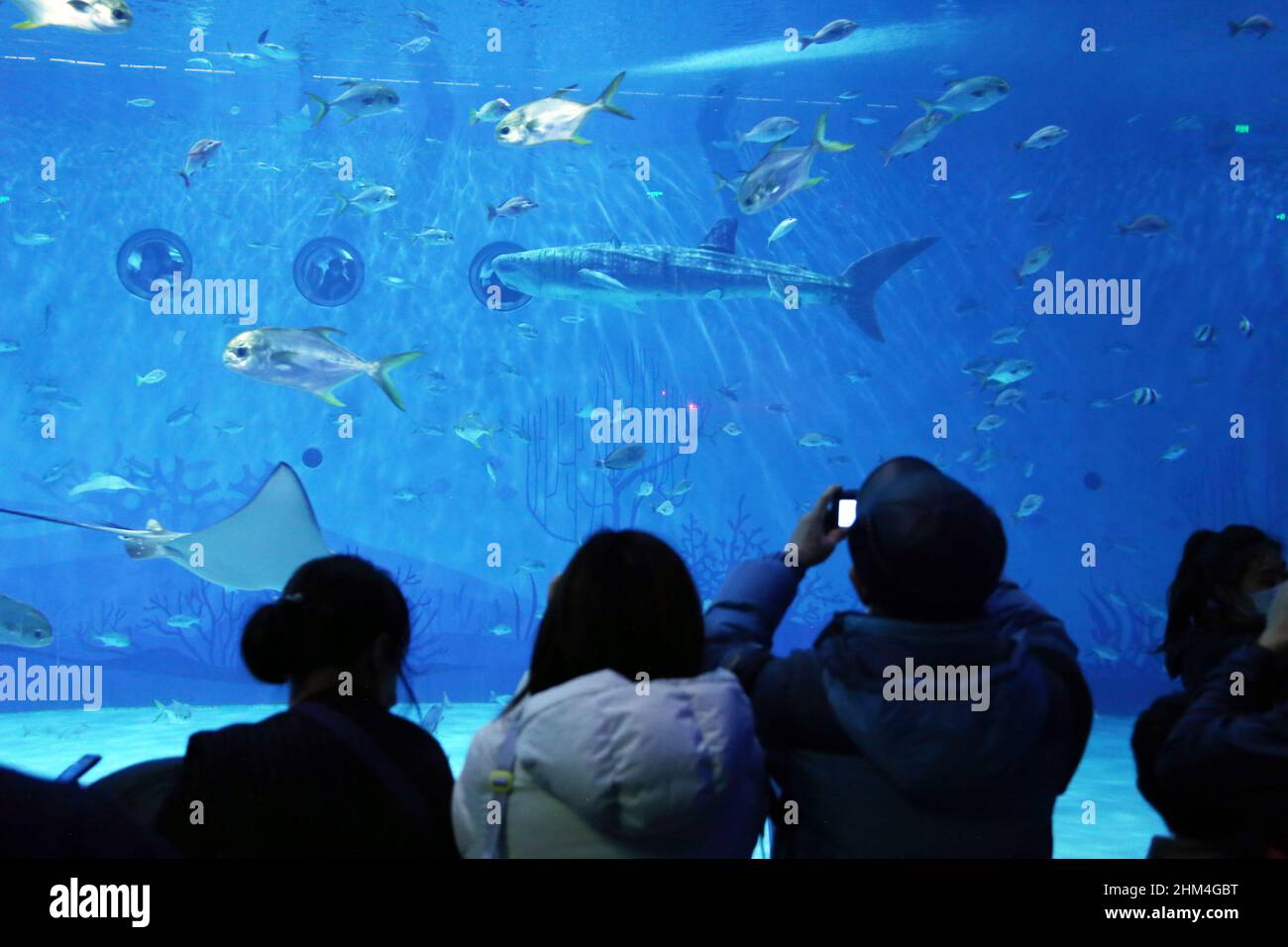 SHANGHAI, CHINA - FEBRUARY 4, 2022 - Tourists view the world's first ...
