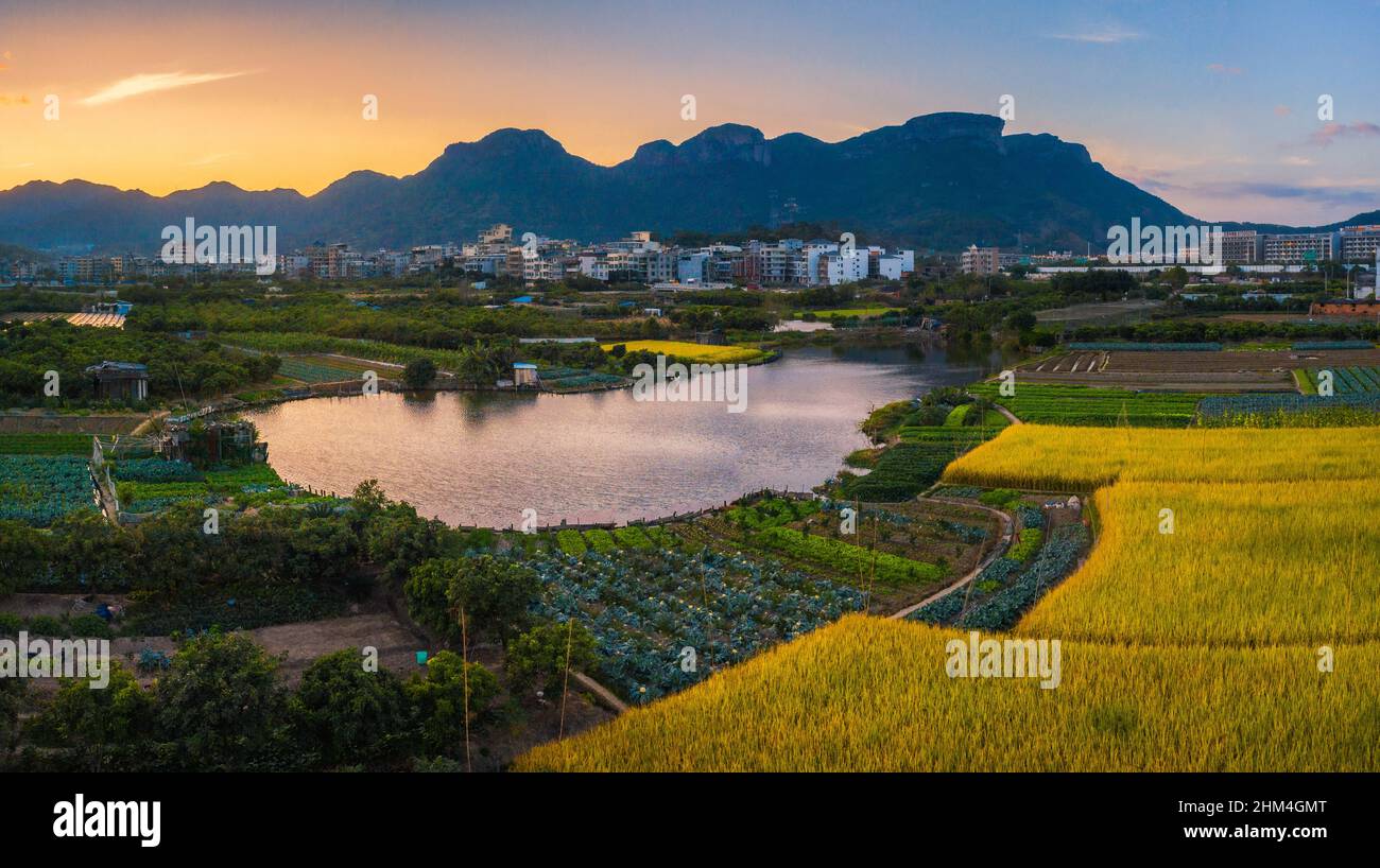 Five tiger hill Stock Photo - Alamy