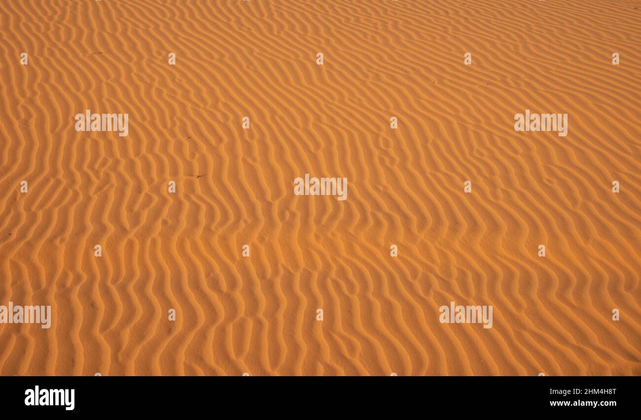 Texture of the sand in the sahara desert Stock Photo - Alamy