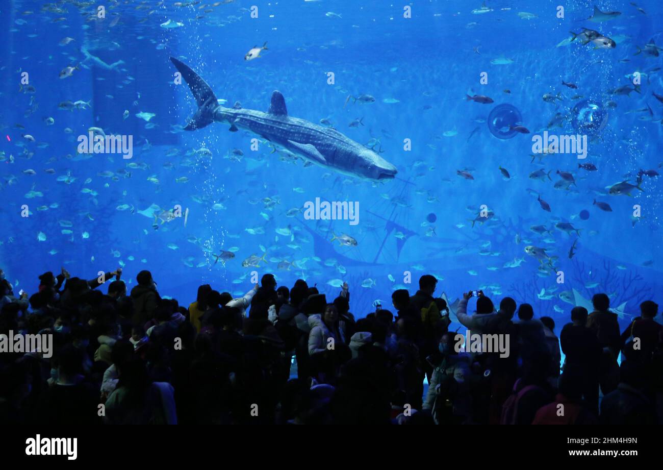 SHANGHAI, CHINA - FEBRUARY 4, 2022 - Tourists view the world's first ...