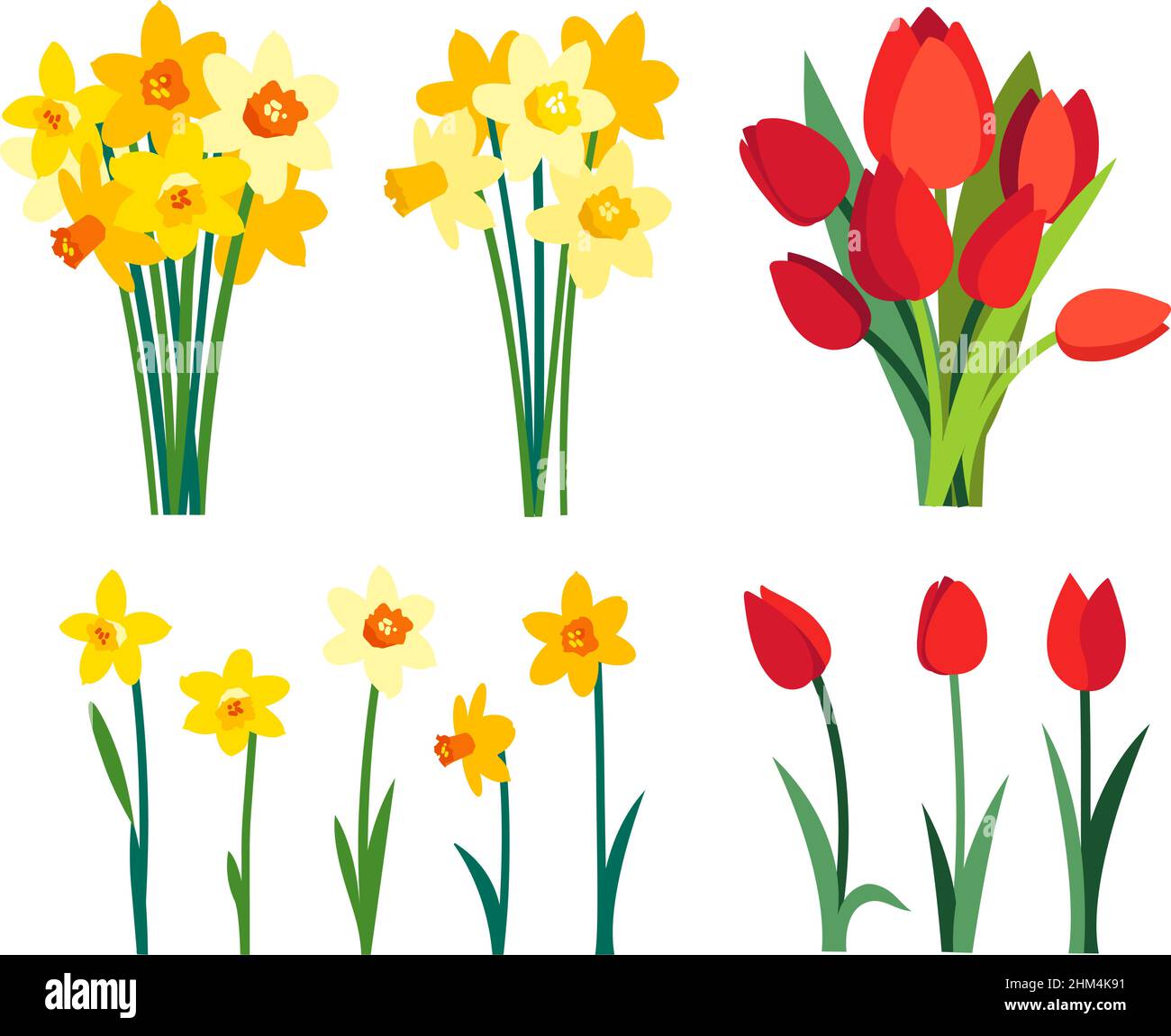 Spring flowers clipart. Yellow daffodils bouquet and red tulip flowers ...