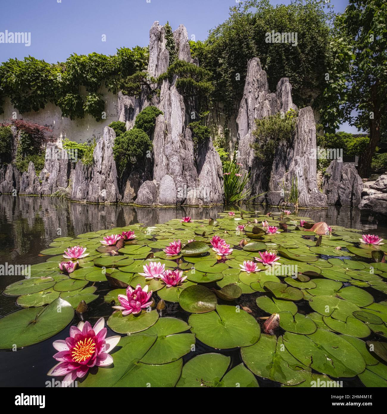 Lingering hi-res stock photography and images - Alamy