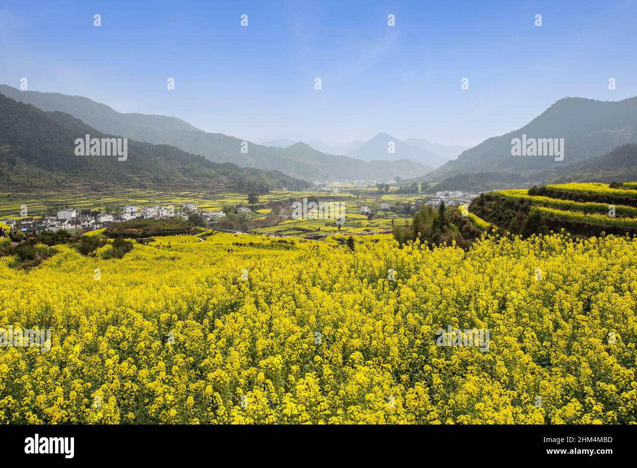 Jiangxi wuyuan county Jiang Ling scenery Stock Photo - Alamy