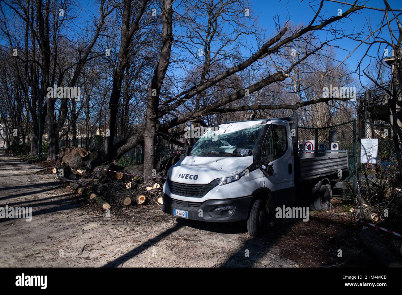 Strong winds cause tree hi-res stock photography and images - Alamy