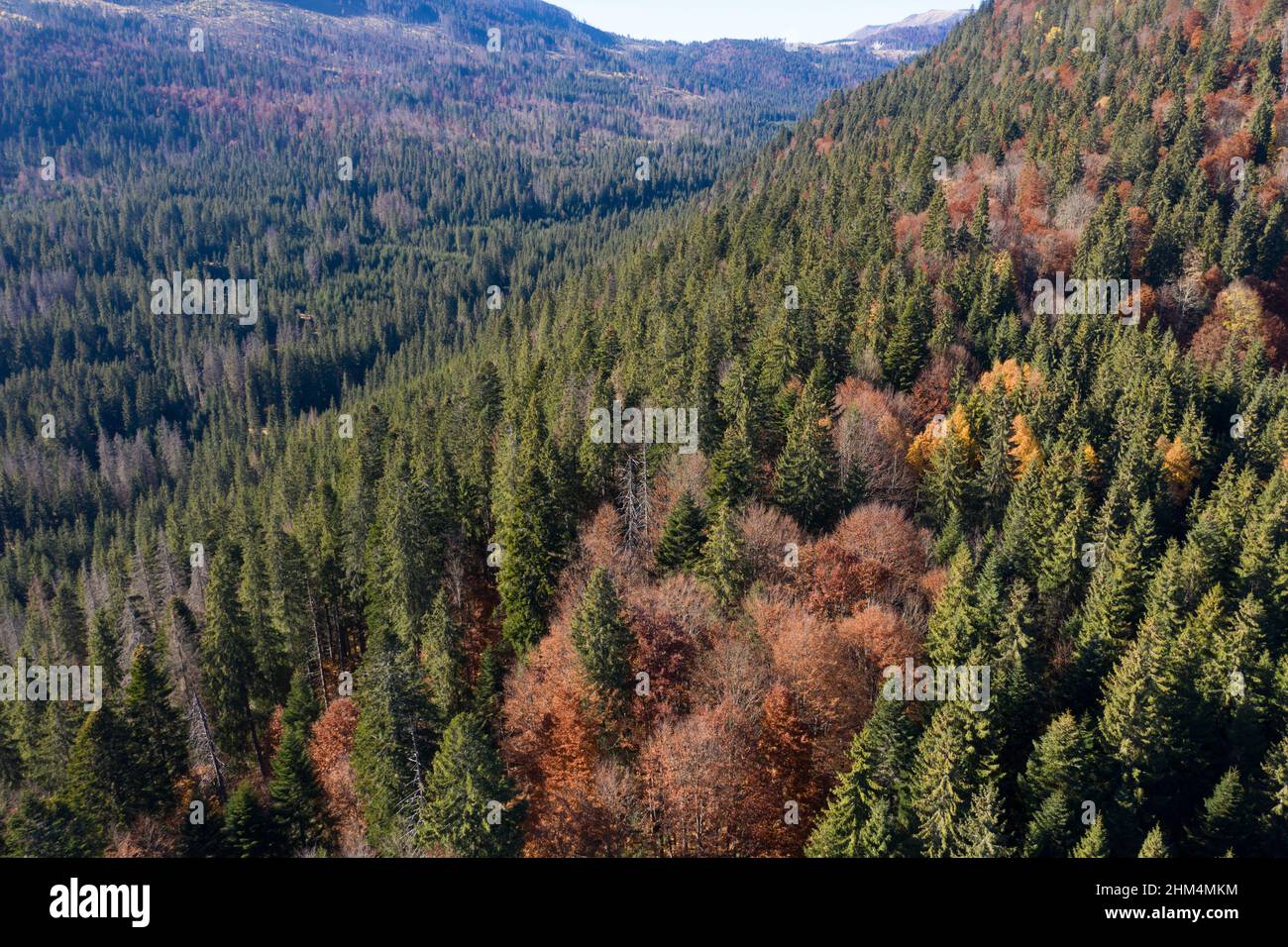 Evergreen aerial hi-res stock photography and images - Alamy