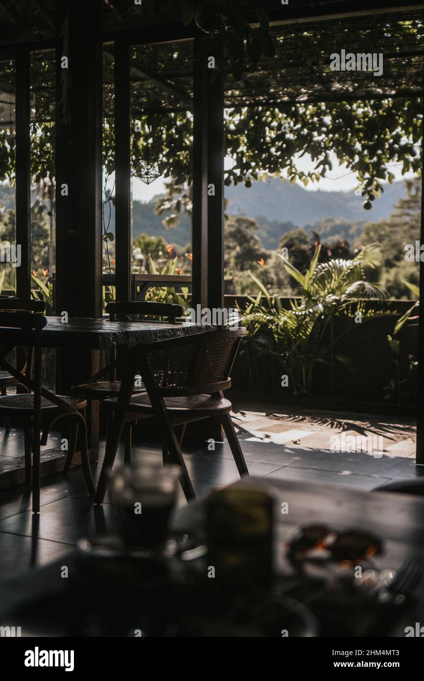 Bali cafe surrounded by greenery. Dining table and chair with greenery ...