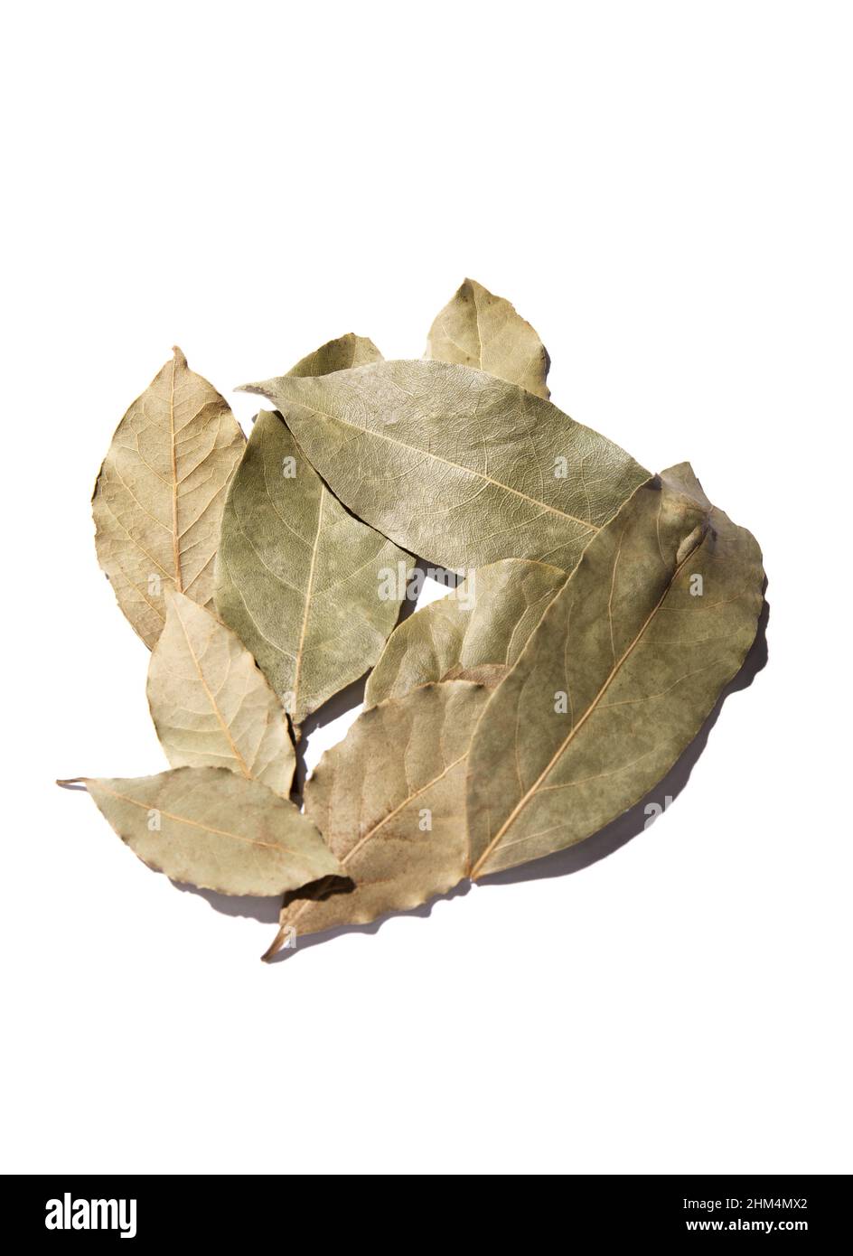 One dried bay leaf hi-res stock photography and images - Alamy