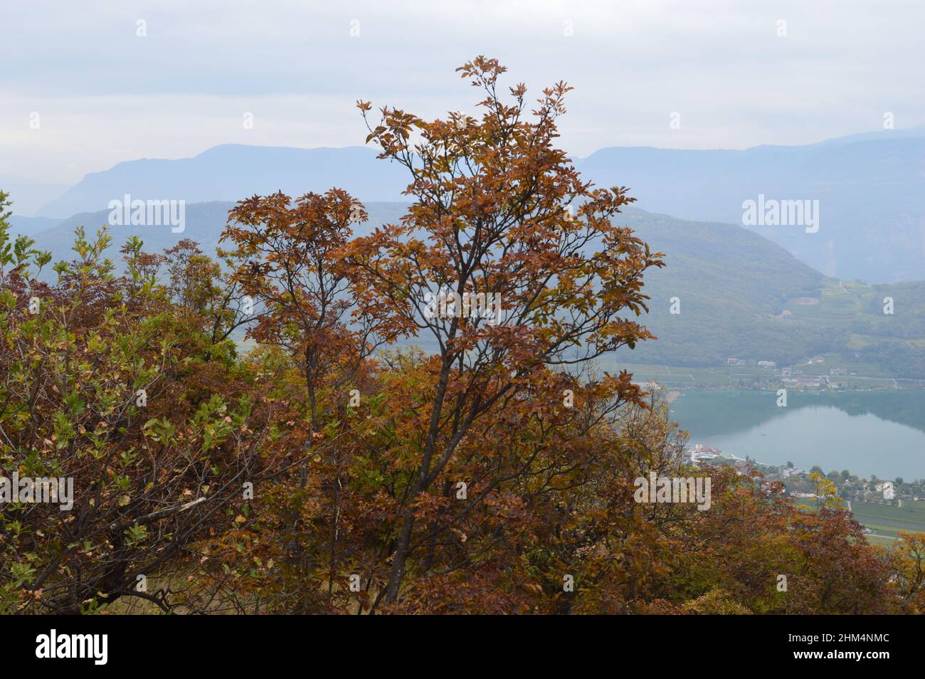 Above Lago di Caldaro Stock Photo - Alamy