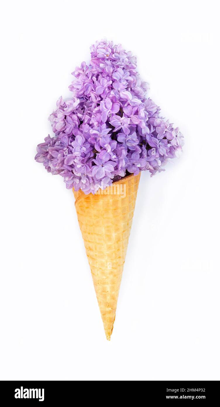 Lilac flowers in ice cream waffle cone isolated on white background ...