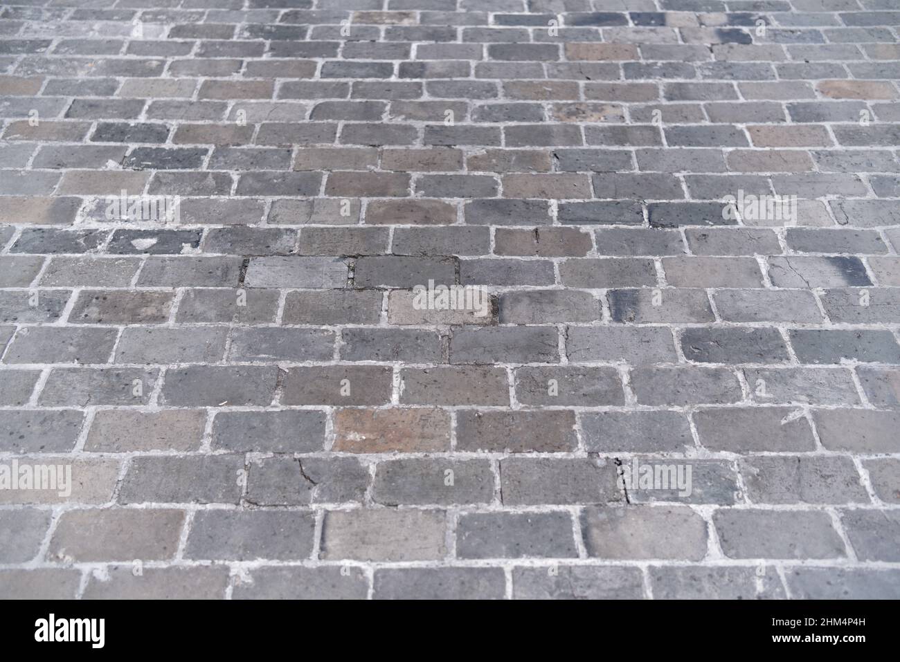 The blue brick flies in the background material floor brick wall the ...
