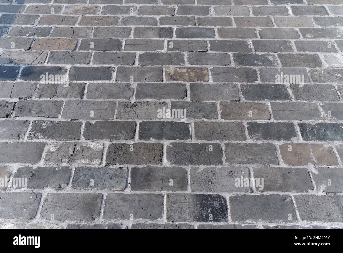 The blue brick flies in the background material floor brick wall the ...