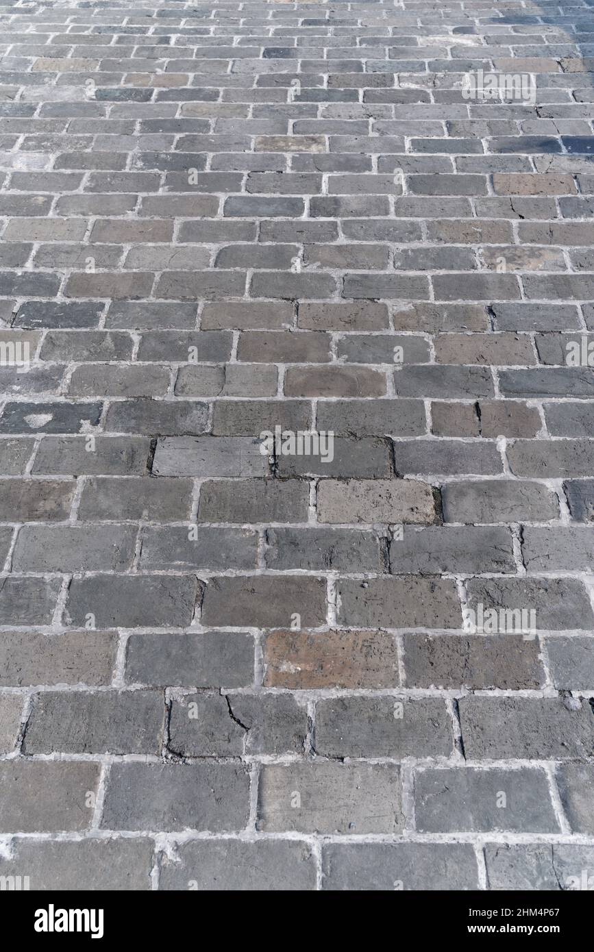 The blue brick flies in the background material floor brick wall the ...