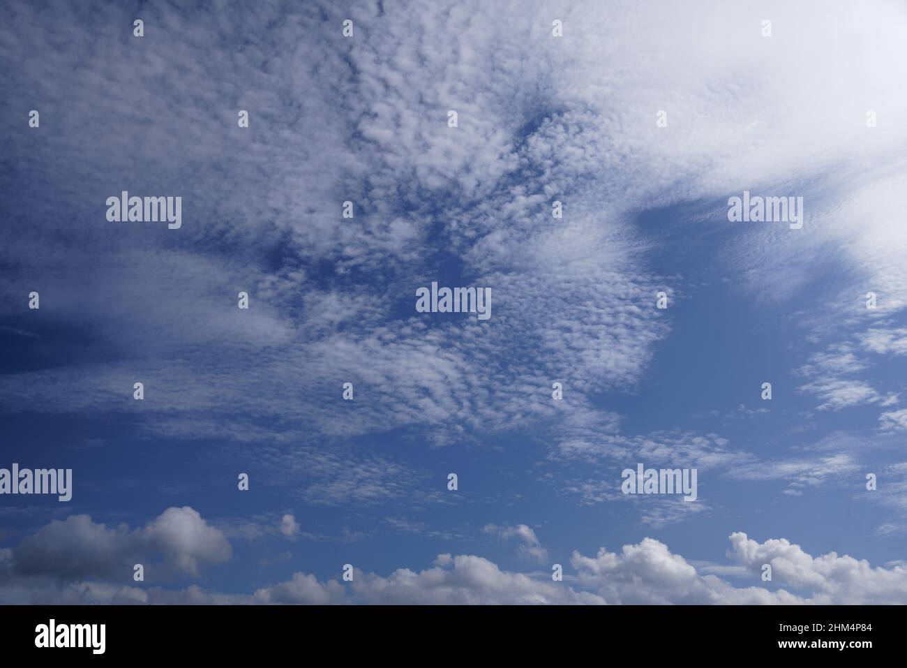 Clear scales hi-res stock photography and images - Alamy