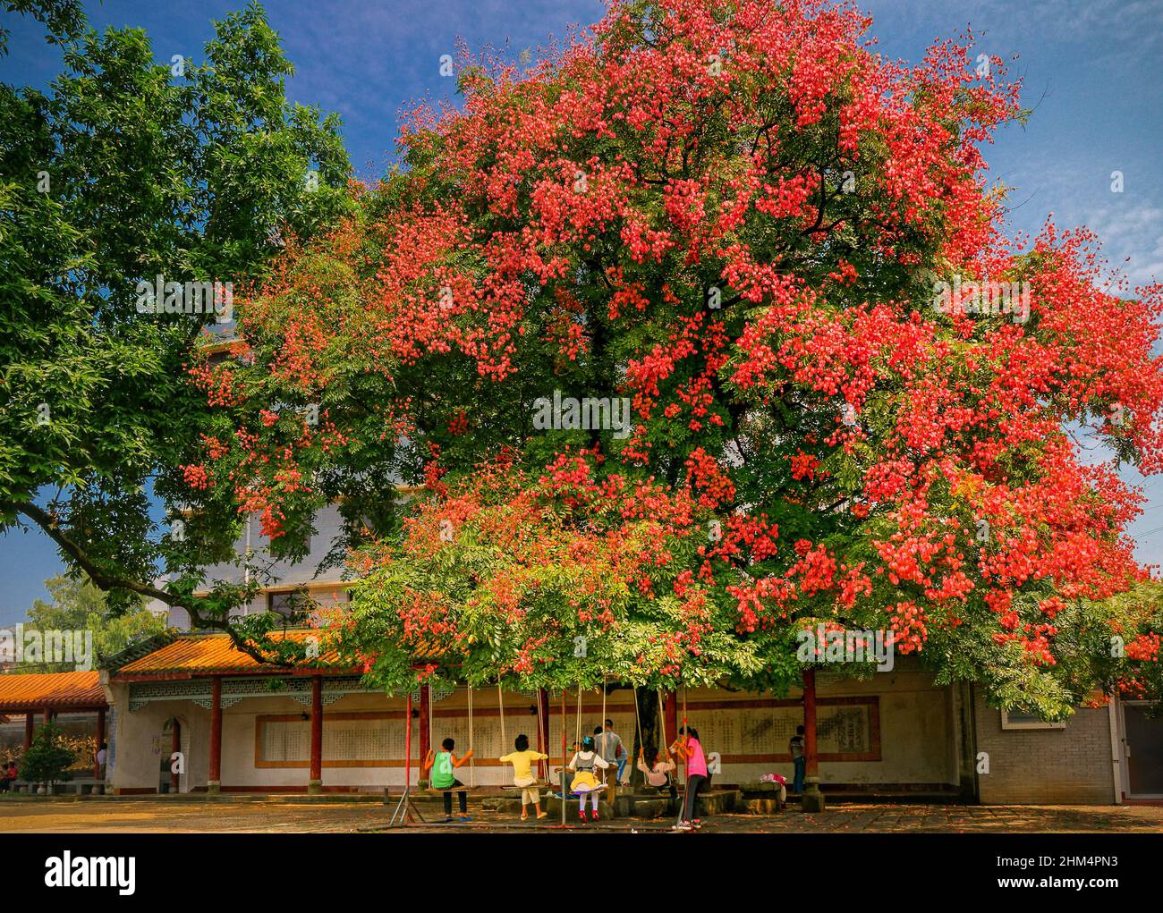 Growth and composition hi-res stock photography and images - Alamy