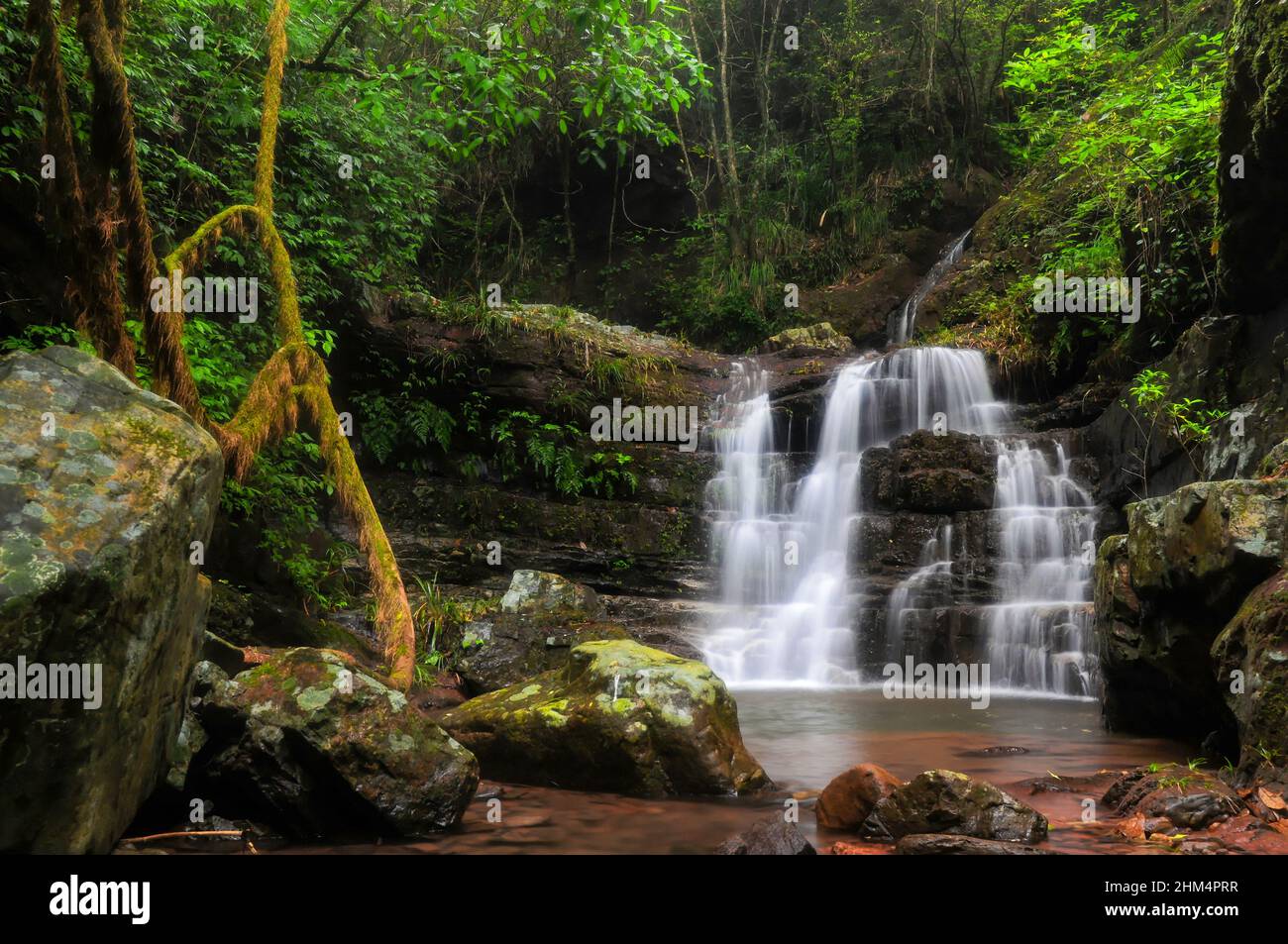 Mountain spring streams waterfall Stock Photo - Alamy