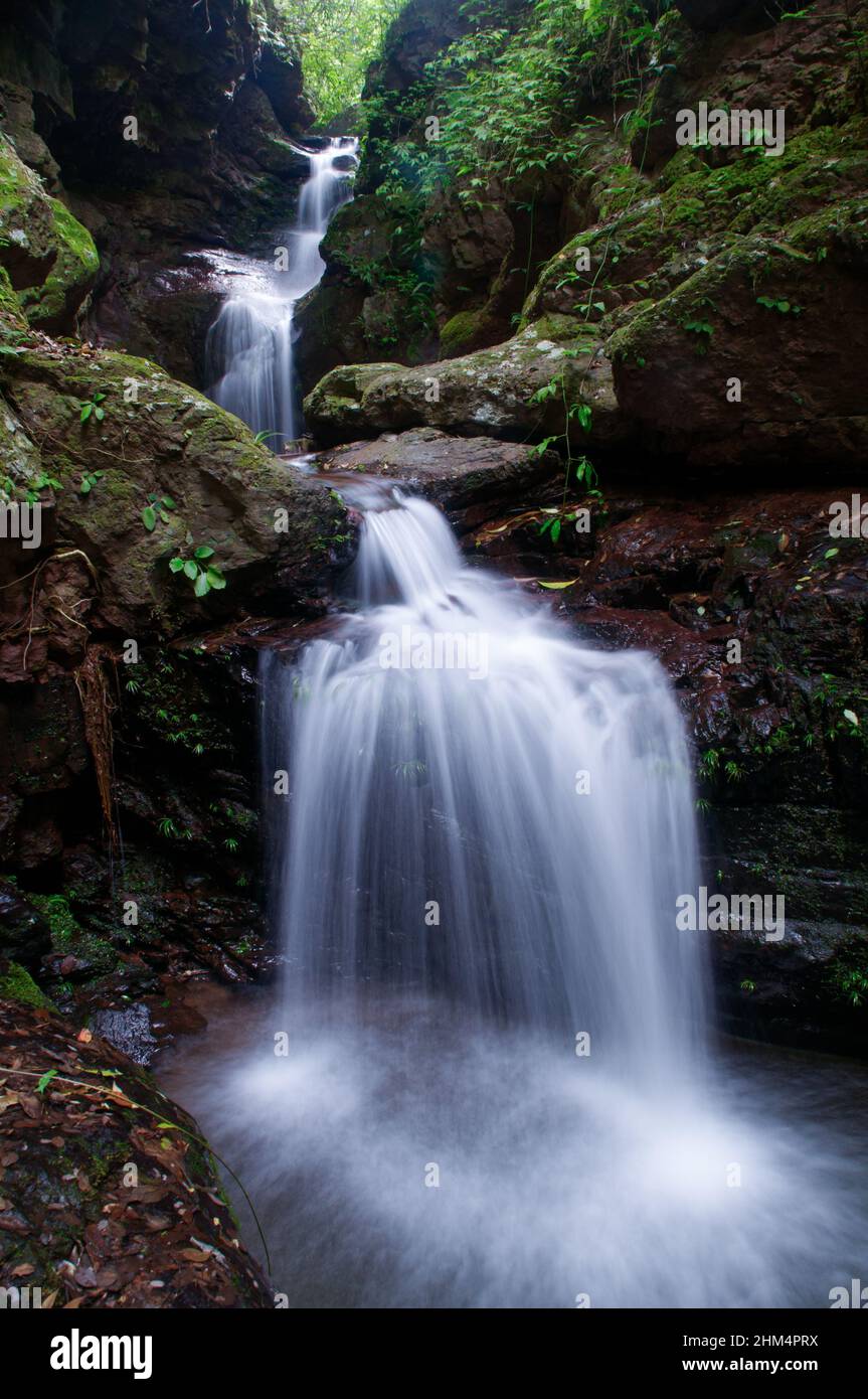 Mountain spring streams waterfall Stock Photo - Alamy