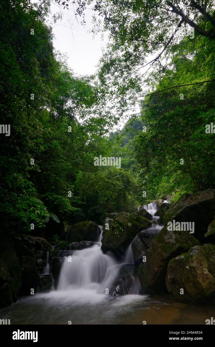 Mountain spring streams waterfall Stock Photo - Alamy