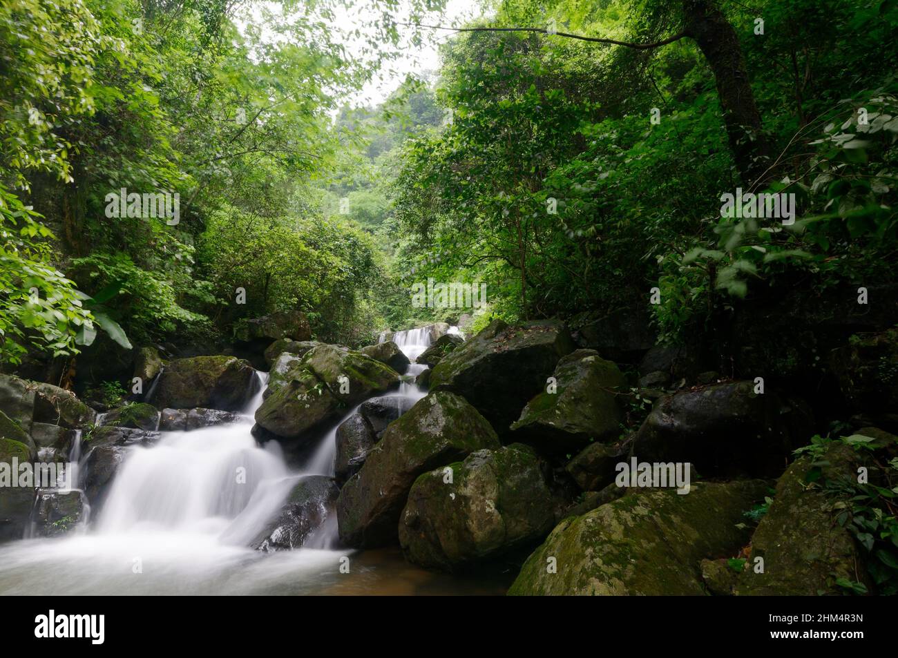 Mountain spring streams waterfall Stock Photo - Alamy