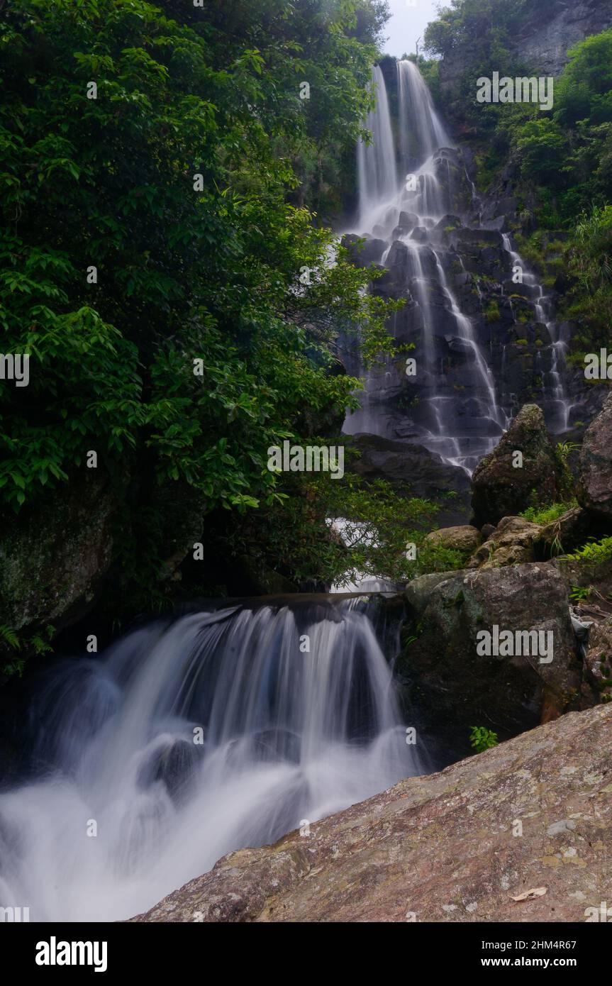 Mountain spring streams waterfall Stock Photo - Alamy