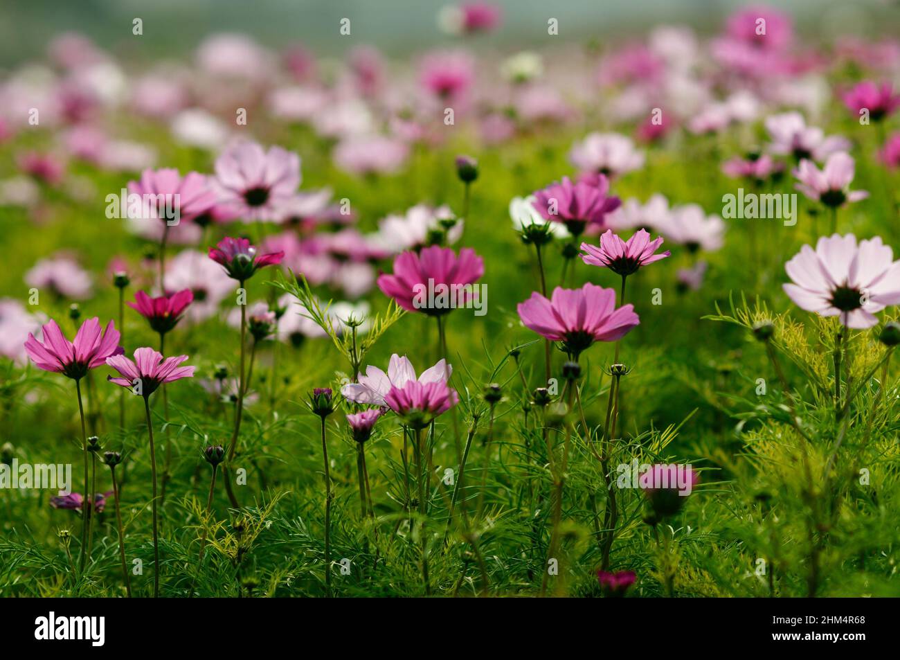 Fragile resorts hi-res stock photography and images - Alamy