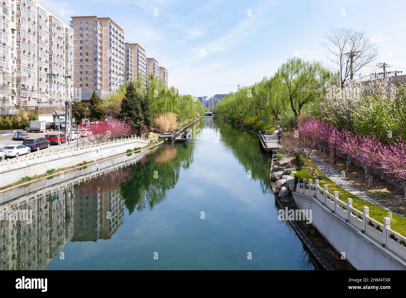 Beijing north moat of spring Stock Photo - Alamy