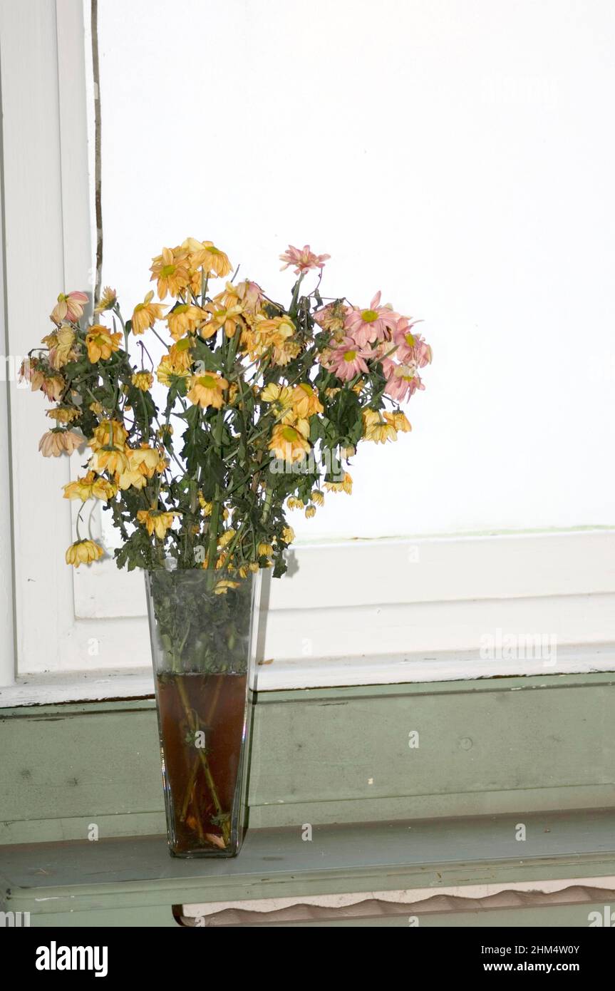Dying Flowers In A Vase On A Window., Credit:Photoshot Creative ...
