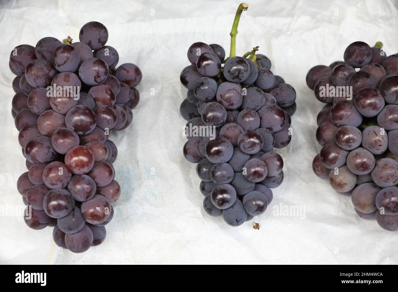 8 grapes hi-res stock photography and images - Alamy