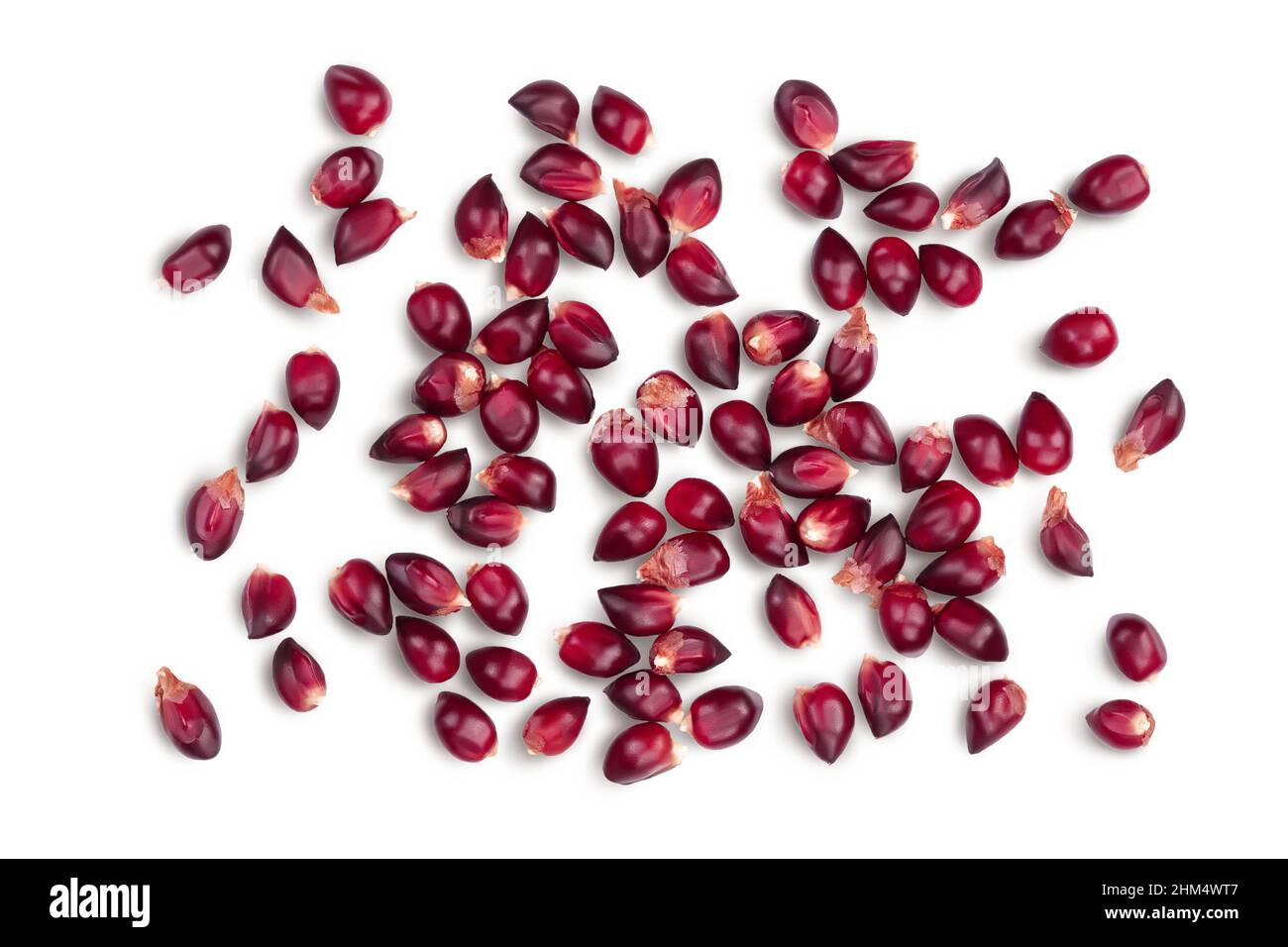 Purple corn or maize seeds isolated on white background with clipping ...