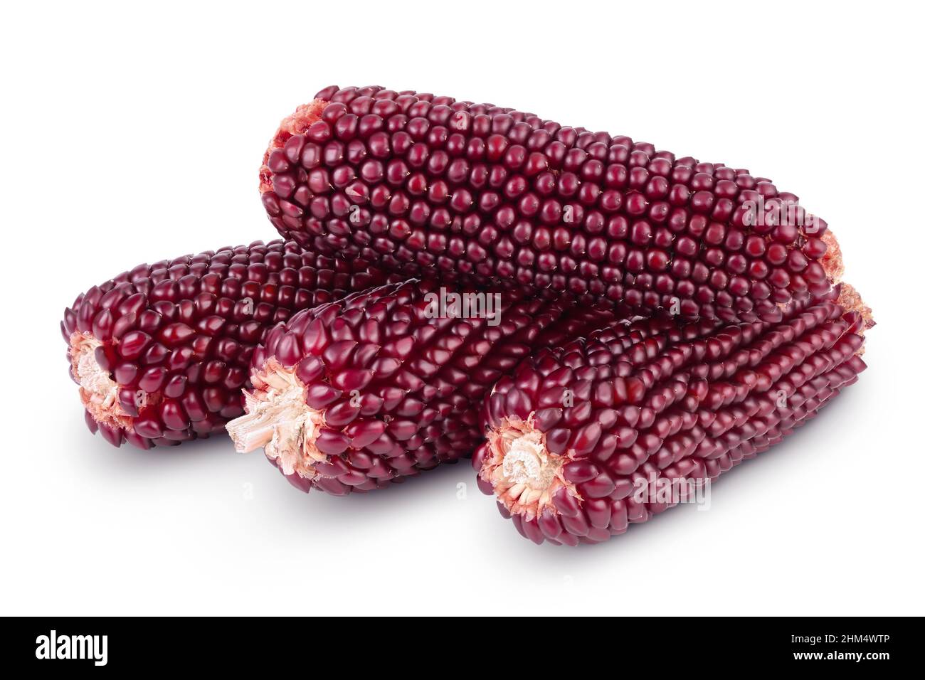 Purple corn or maize isolated on white background with clipping path ...