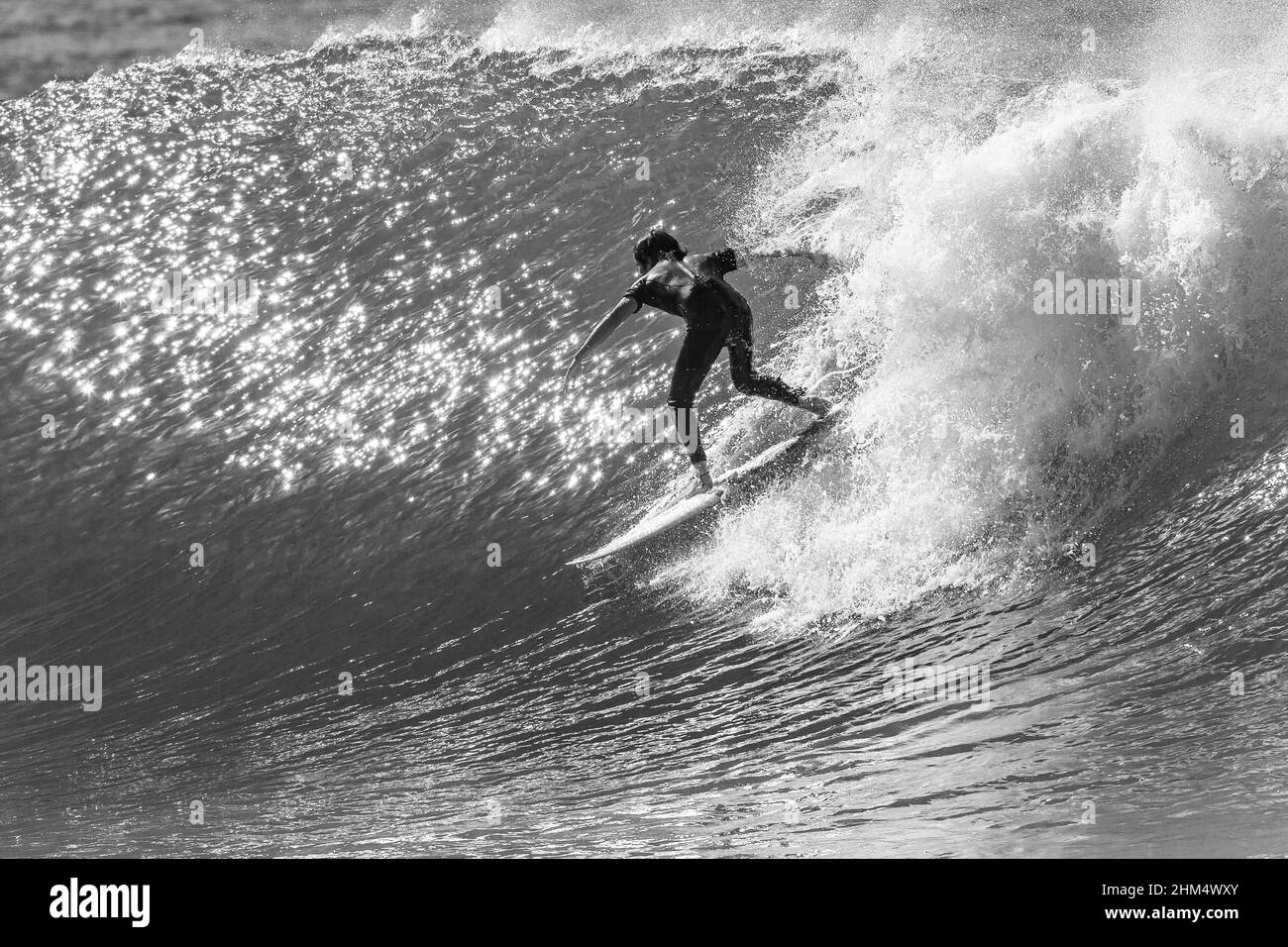 Surfing surfer rides sunlight reflecting ocean wave unrecognizable male ...