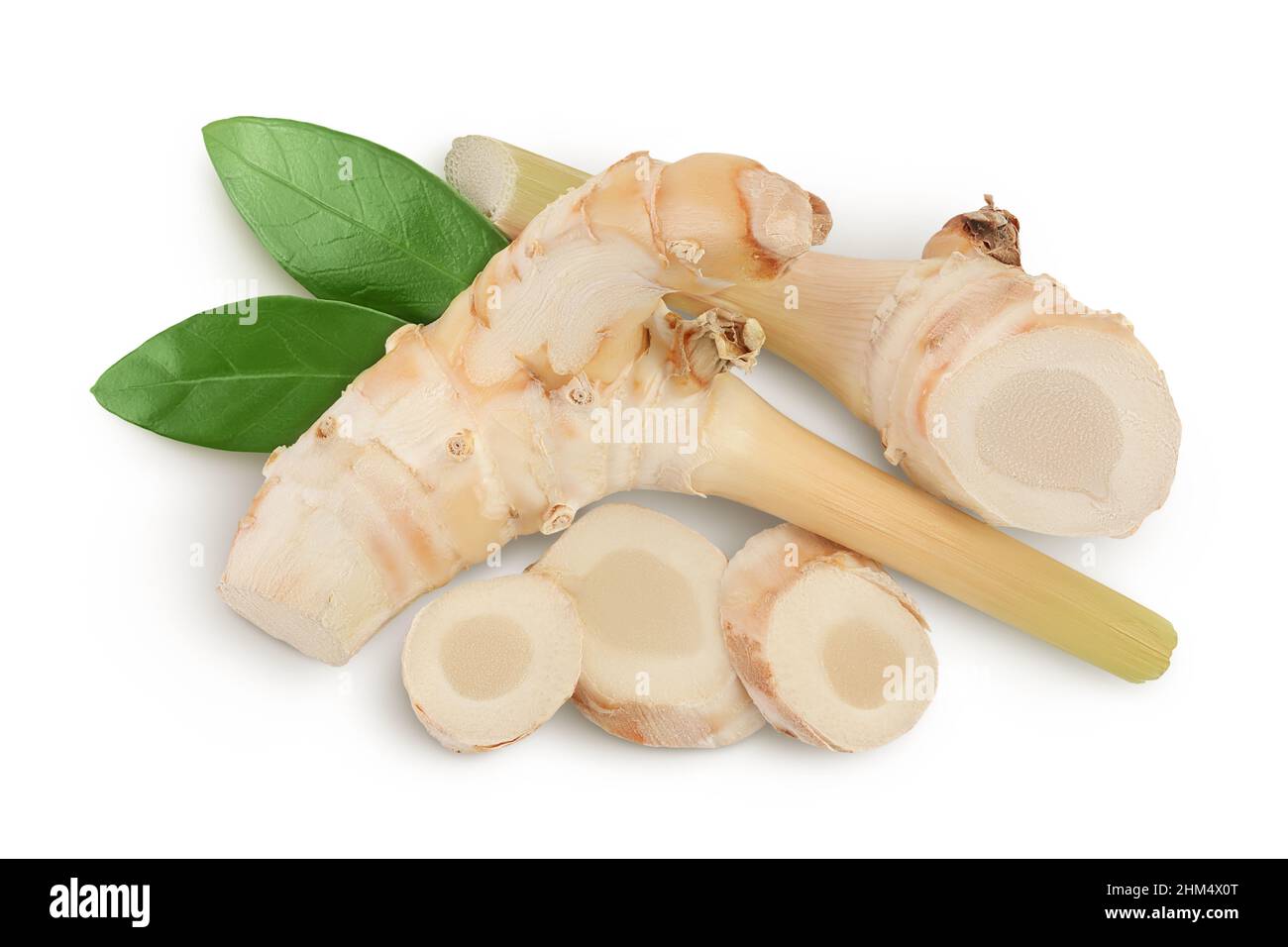Fresh galangal root with slices isolated on white background with ...