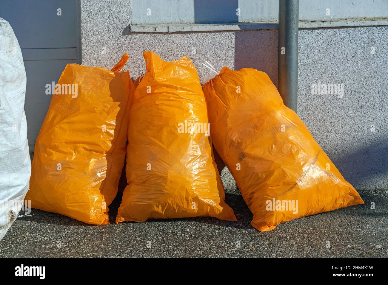 Three Orange Garbage Bags at Street Recycling Collection Stock Photo ...
