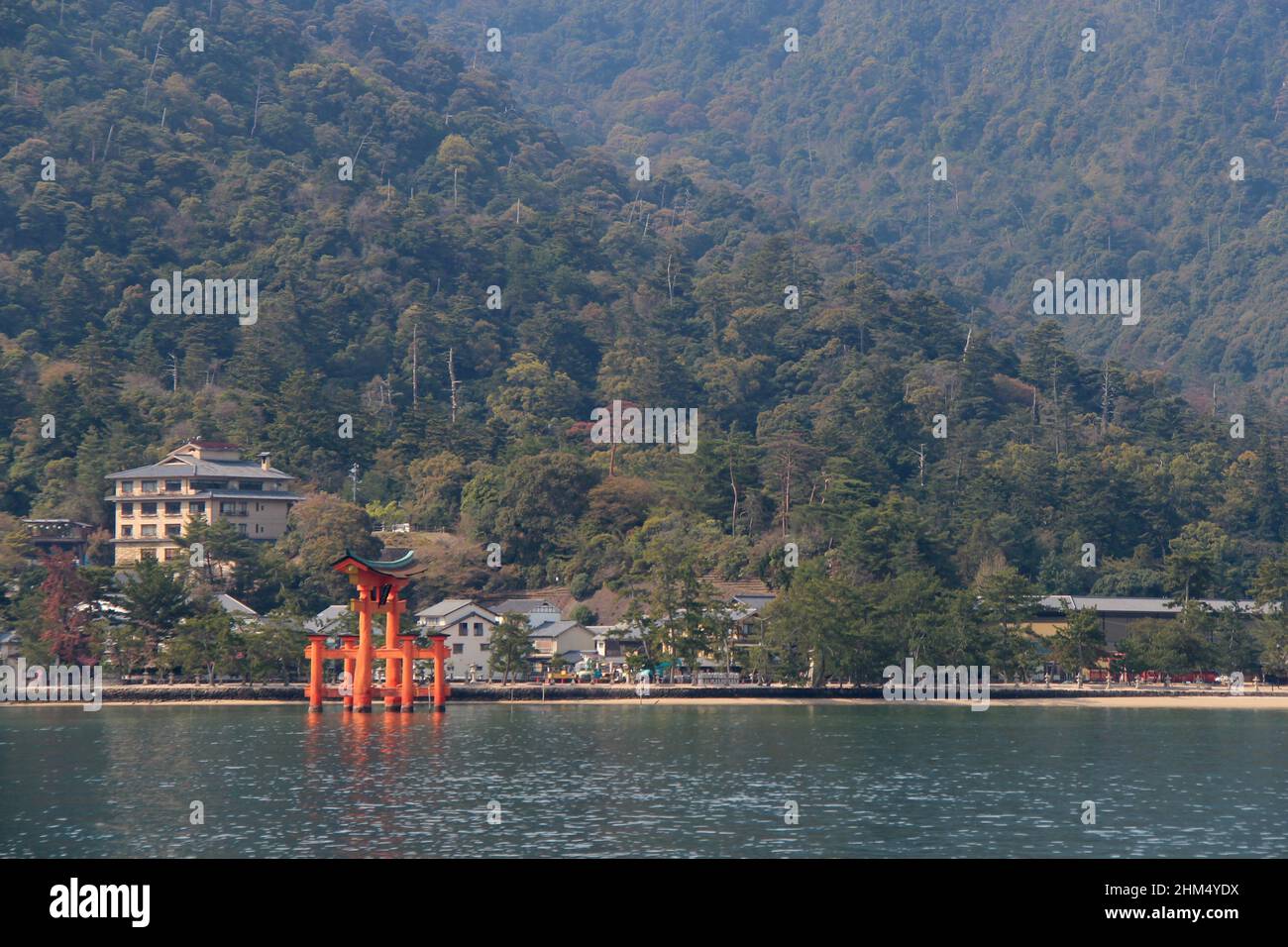 miyajima island and torii of a shinto shrine (itsukushima) in japan Stock Photo - Alamy