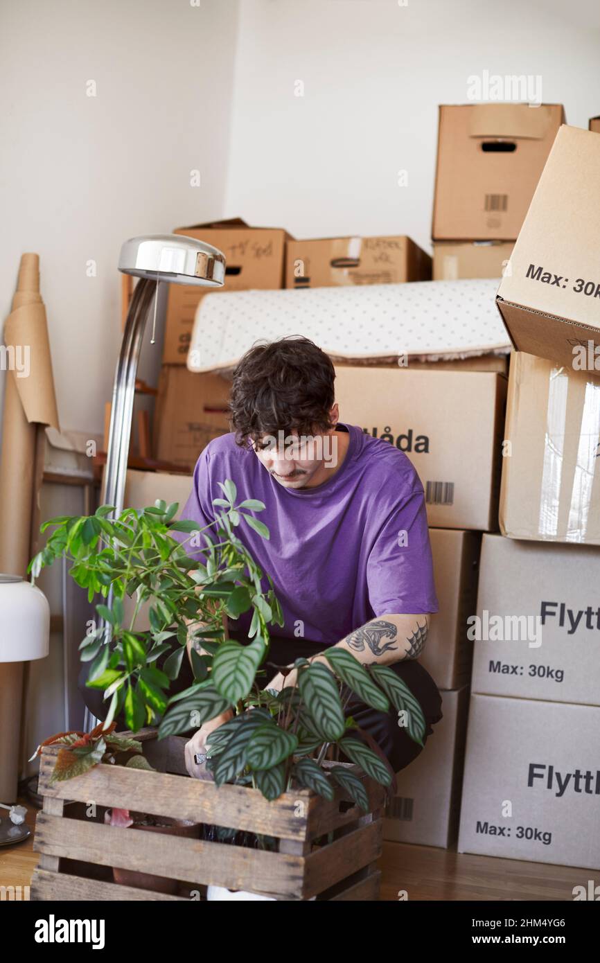 Man moving house Stock Photo - Alamy