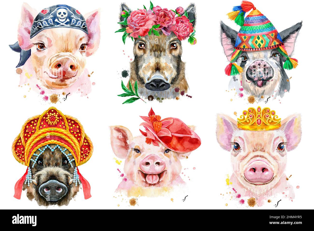 Watercolor illustration of pigs in bandana, wreath of peonies, chullo ...