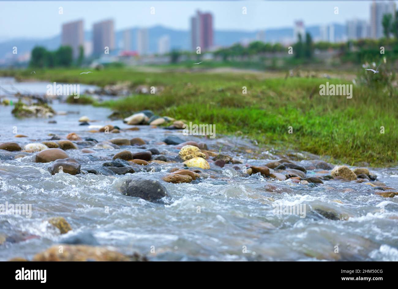 Water chan hi-res stock photography and images - Alamy