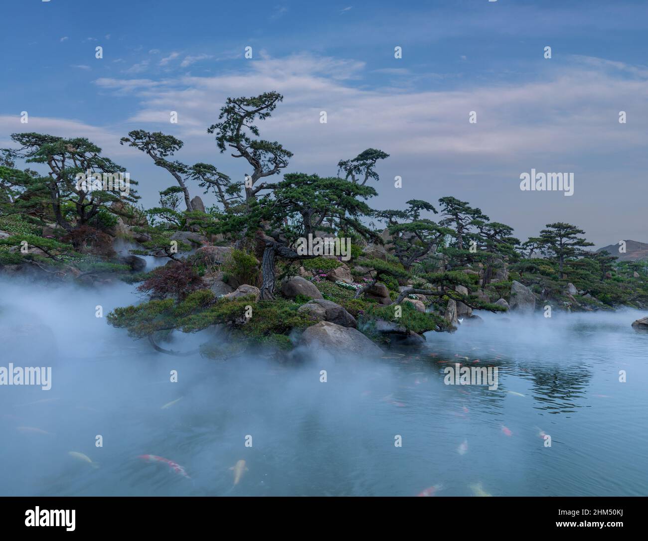 The beauty of the model of pine trees in Beijing modern landscape ...