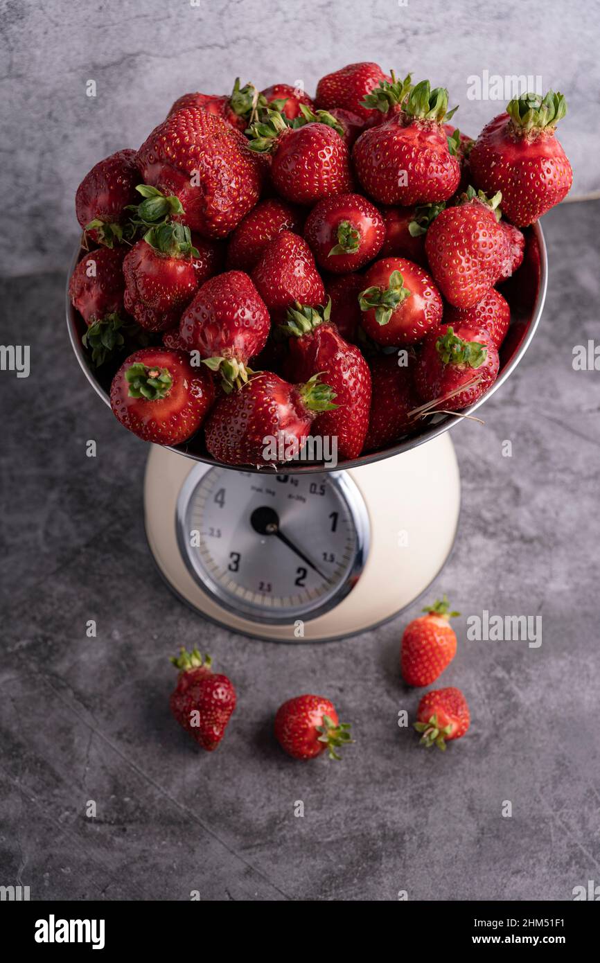 fresh, juicy strawberries are weighed in a scale pan. Taken from above ...