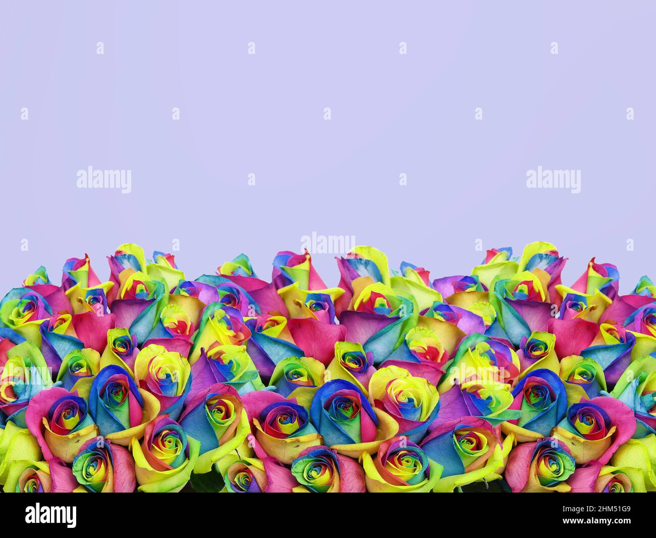 Images Of Colorful Roses