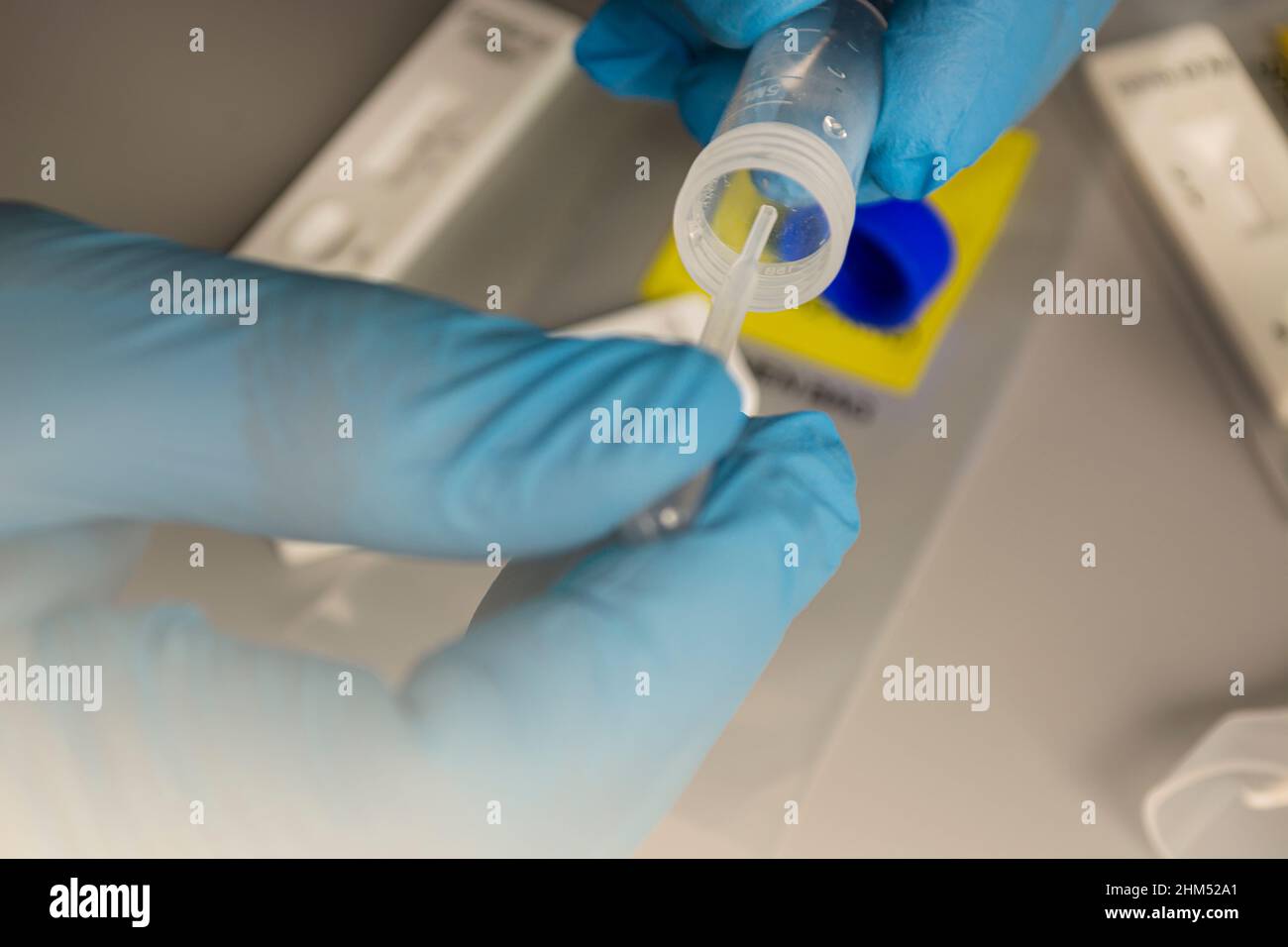 COVID-19 rapid test performed in hospital lab with blurred background ...