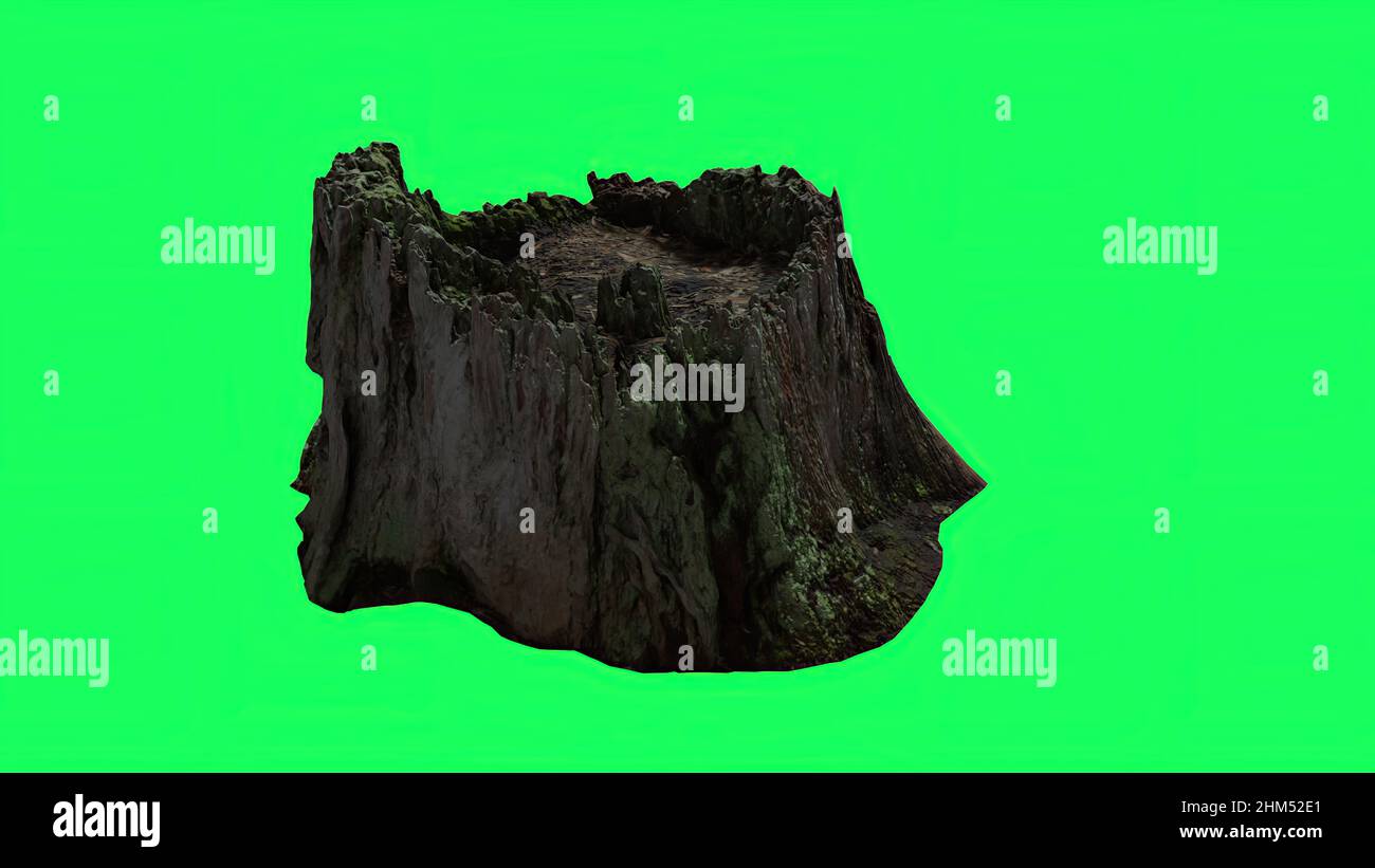 3d illustration - Old abandoned tree stump in the woods on green screen ...