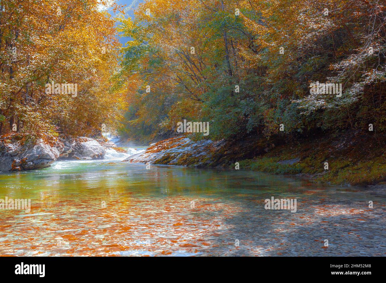 Original state forest hi-res stock photography and images - Alamy