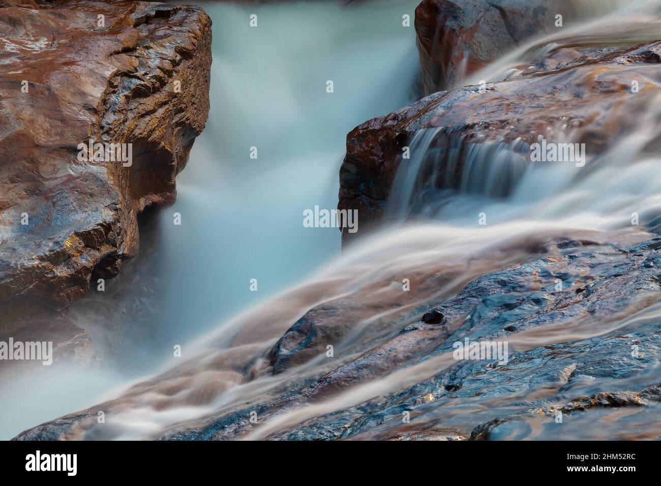 Cortex phellodendri hi-res stock photography and images - Alamy