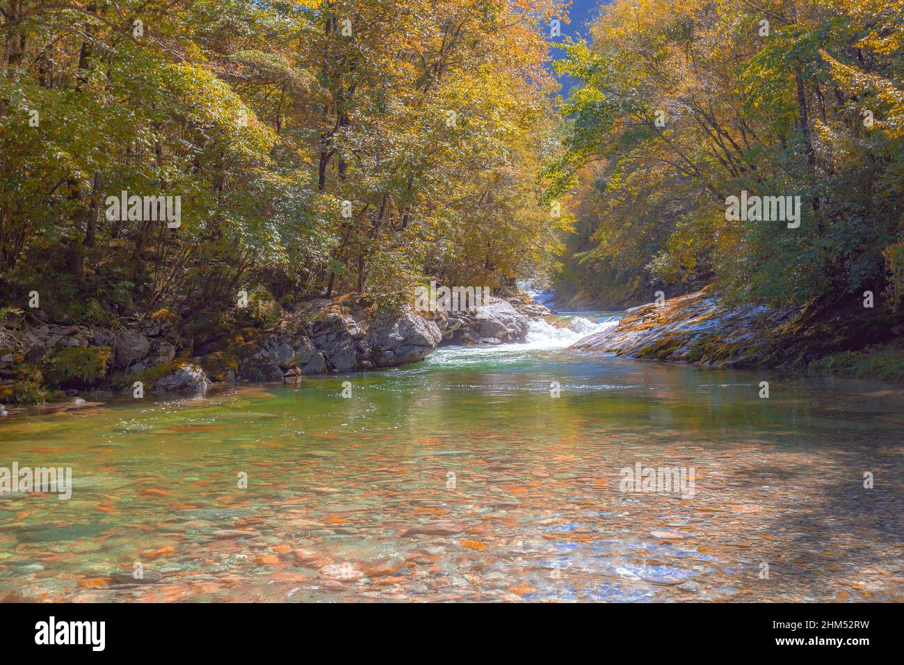 Original state forest hi-res stock photography and images - Alamy