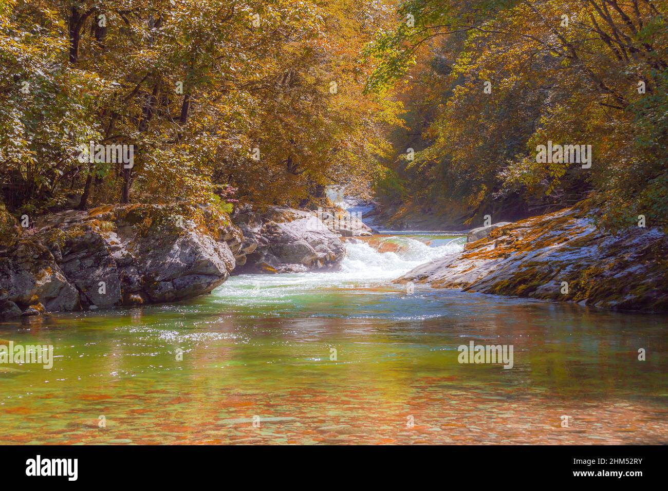 Original state forest hi-res stock photography and images - Alamy